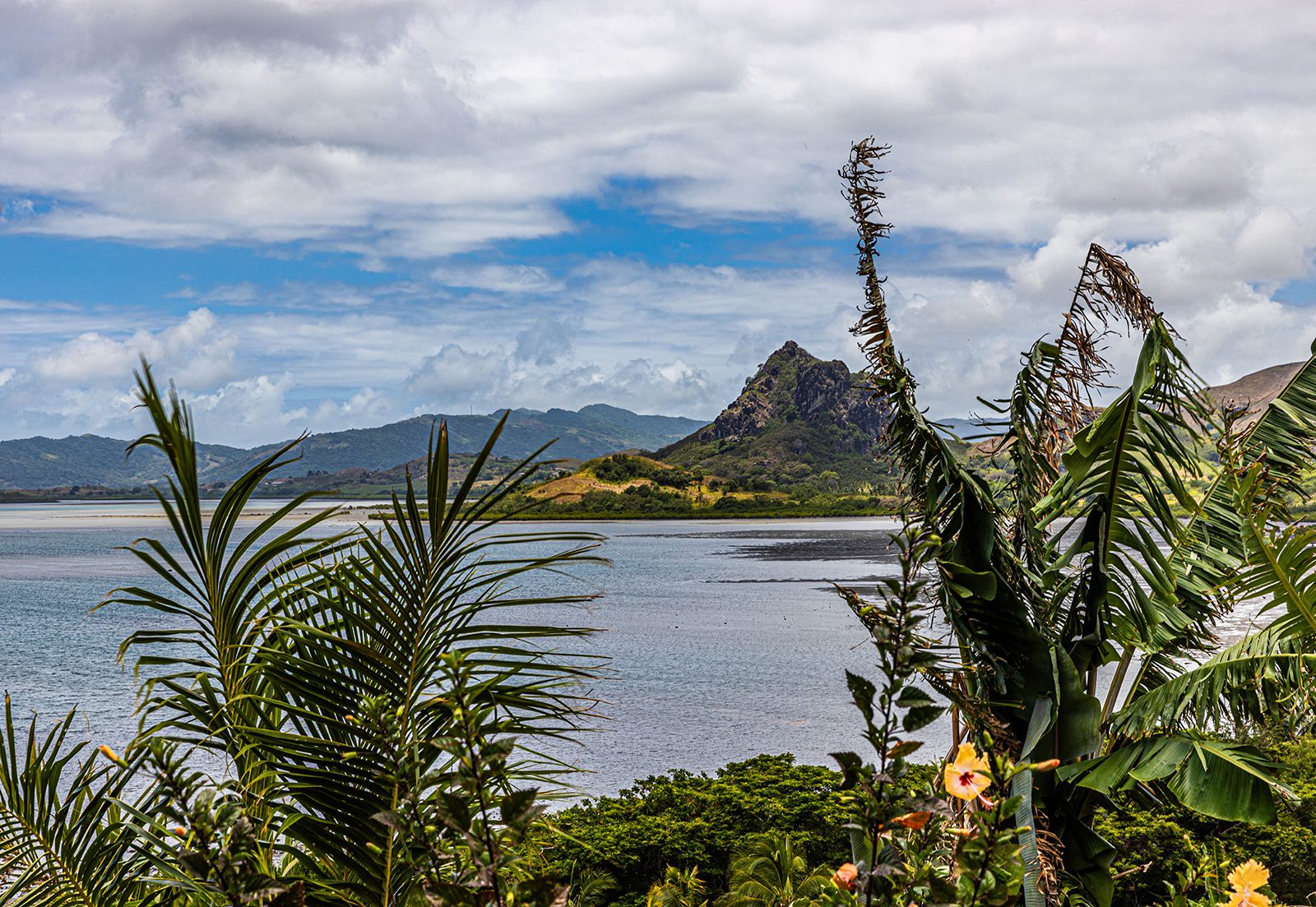 Fiji's hundreds of islands are well-known for their rich plant life ...