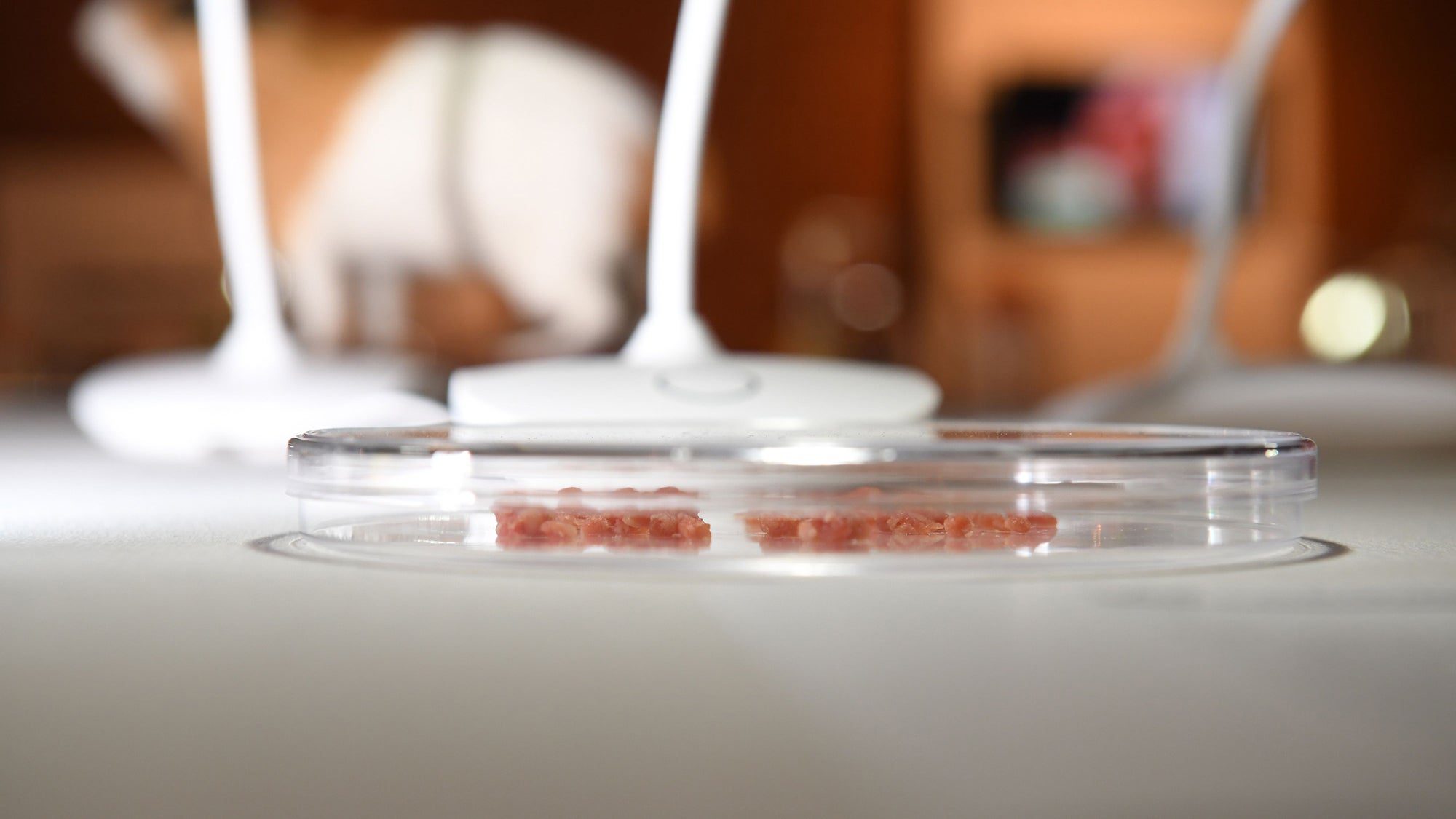Why has Florida prohibited lab-grown meat? – The Plaza Journal
