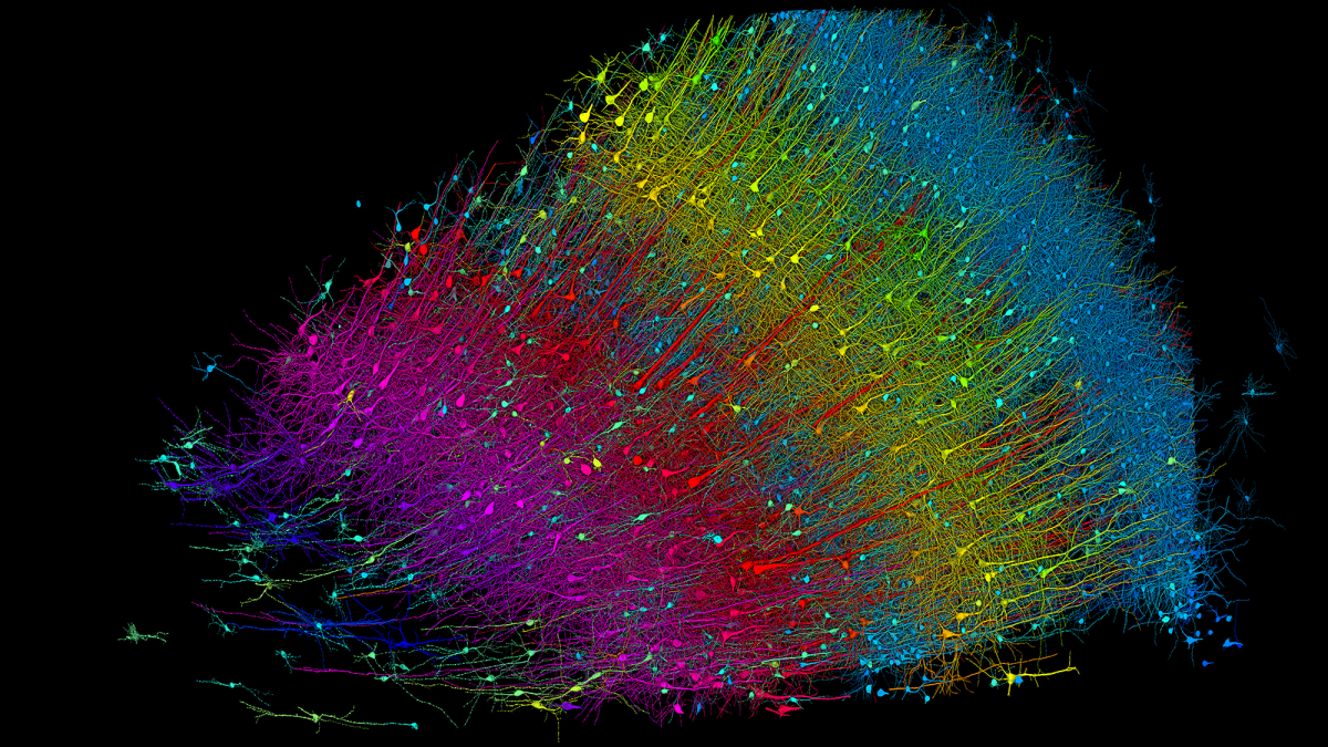 View the most detailed map of human brain matter ever made – The Plaza ...